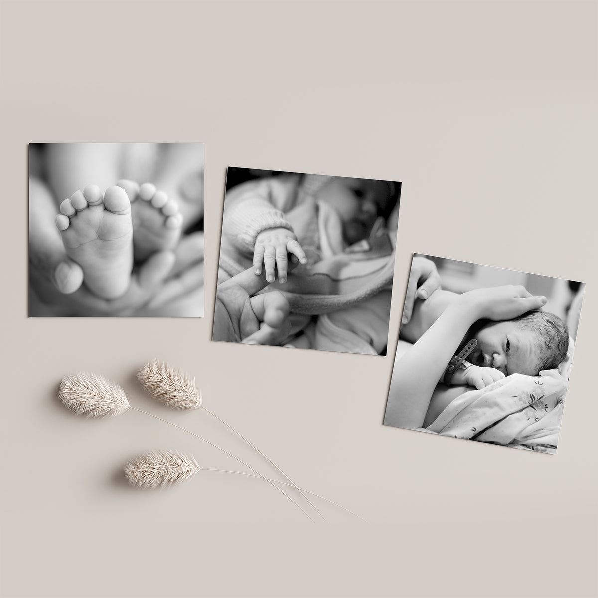 4x4" Square Photo Prints (borderless) – Photo Koala